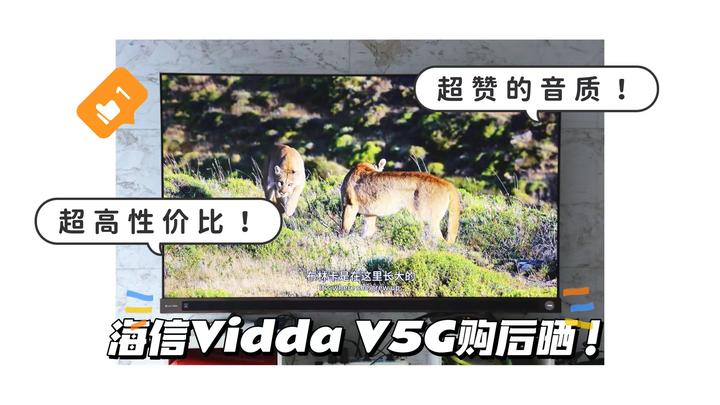 性价比超高，音效爆炸好！海信Vidda V5G音乐电视618购后晒 - 知乎
