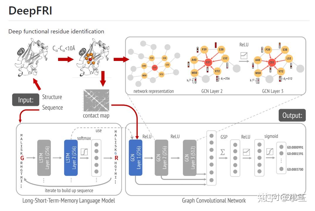 蛋白结构生物信息学的造极：AlphaFold DB的结构挖掘 - 知乎