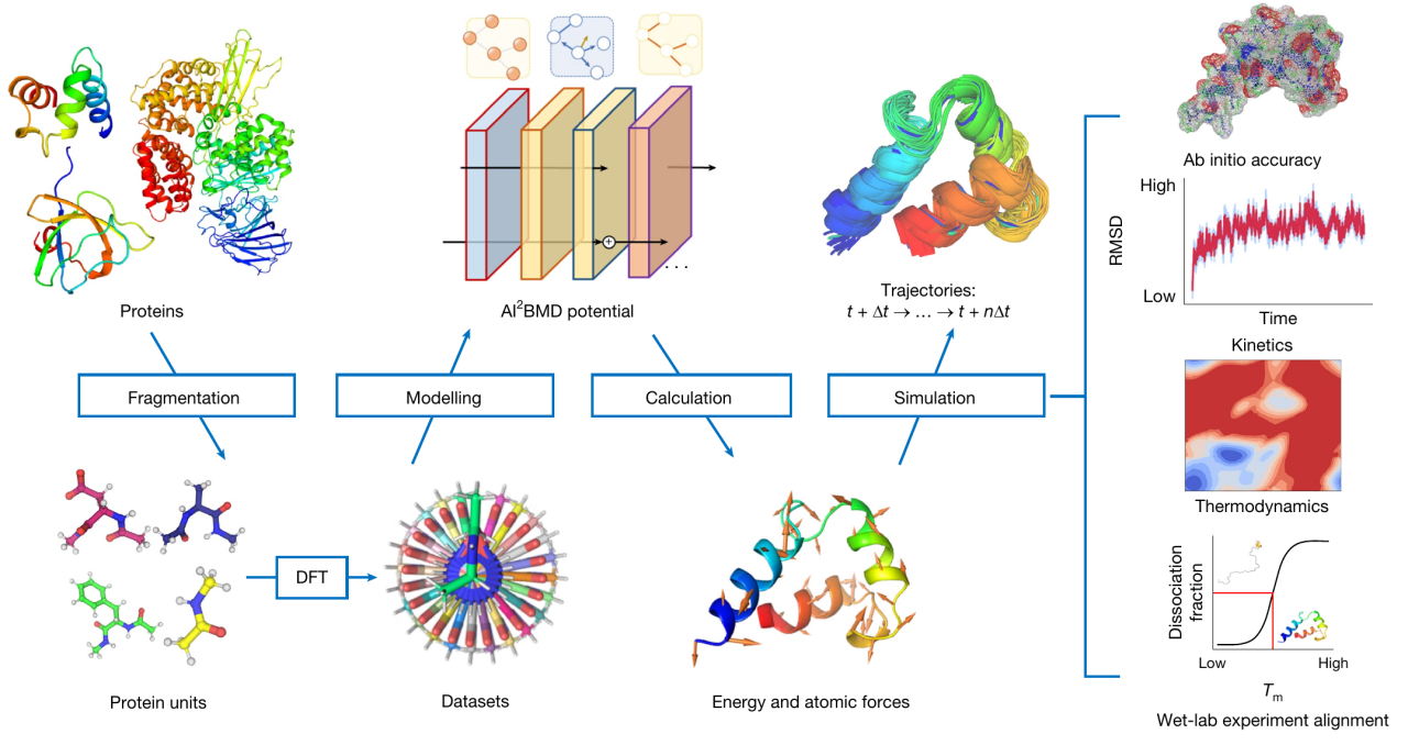 Nature正刊！基于人工智能的AIMD动力学系统（AI²BMD），显著提升蛋白质动力学模拟精度与效率！ - 知乎