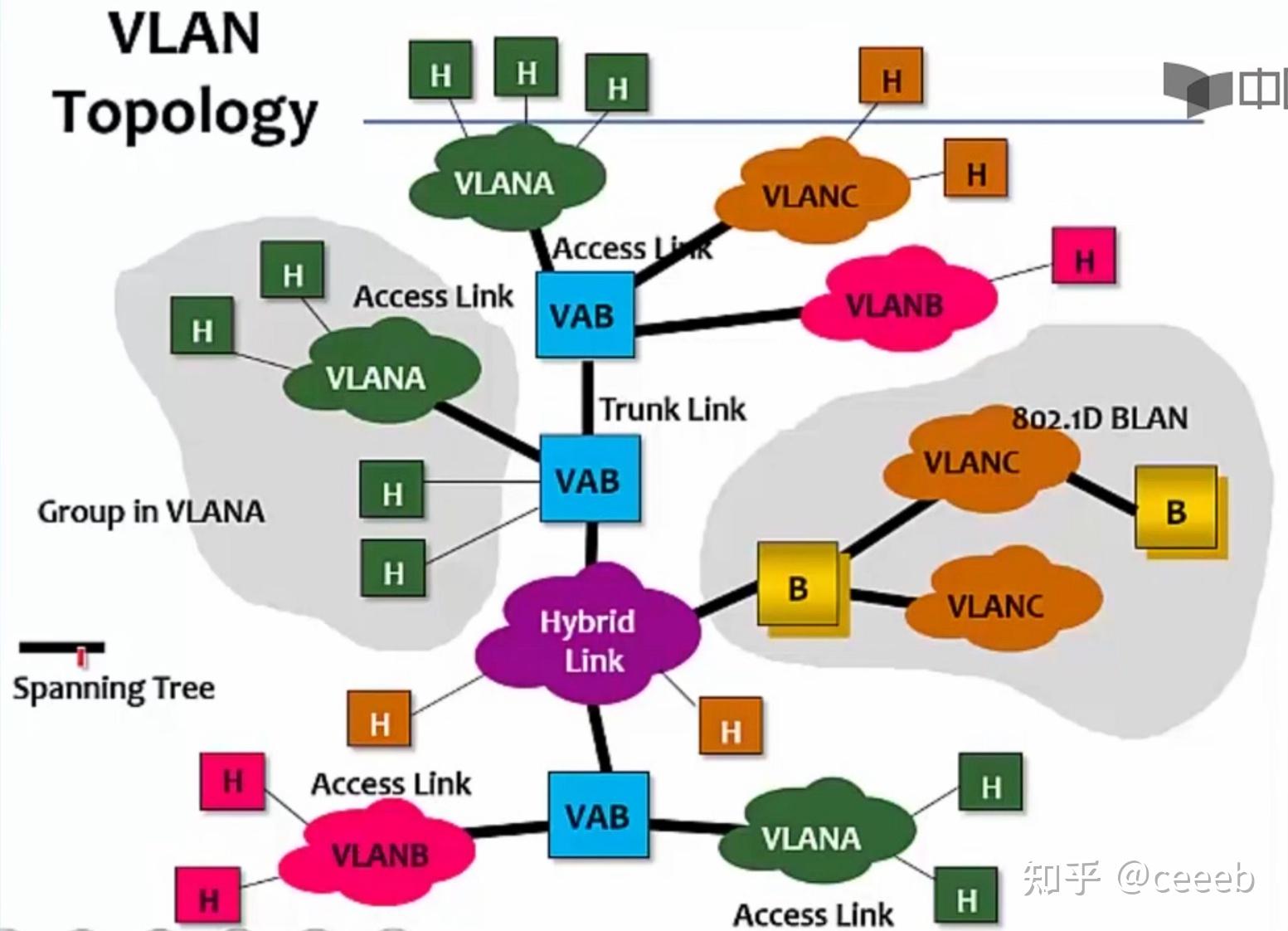 IEEE 802.1Q 虚拟局域网 (Virtual LAN) - 知乎