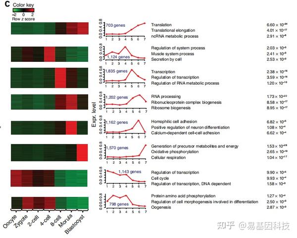 易基因： DNA甲基化差异水平分析中的DMC、DMR、DMG鉴定 | 干货分享 - 知乎