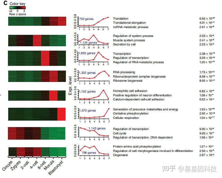 易基因｜DNA甲基化研究的测序数据挖掘思路：干货分享 - 知乎