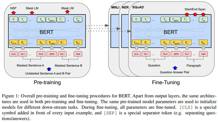 BERT：通过双向Transformer结构预训练强化语言理解 - 知乎