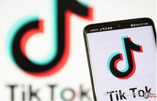Tiktok无网络连接是什么原因2022?(详细教程) 知乎