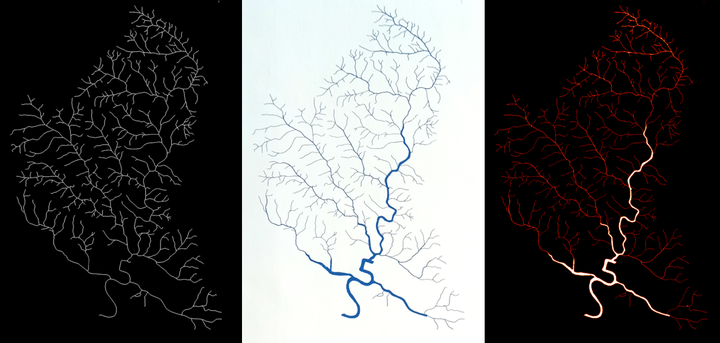ImageJ实用教程——骨架化分析(定量分析篇) - 知乎