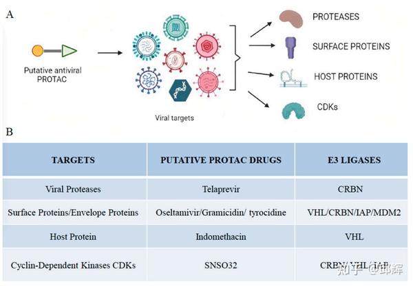 下一代抗病毒药物——PROTAC - 知乎