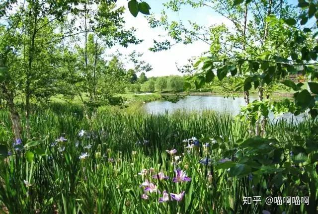 那些超越时代的设计师们（2）| 彼得 沃克 PETER WALKER与PWP - 知乎