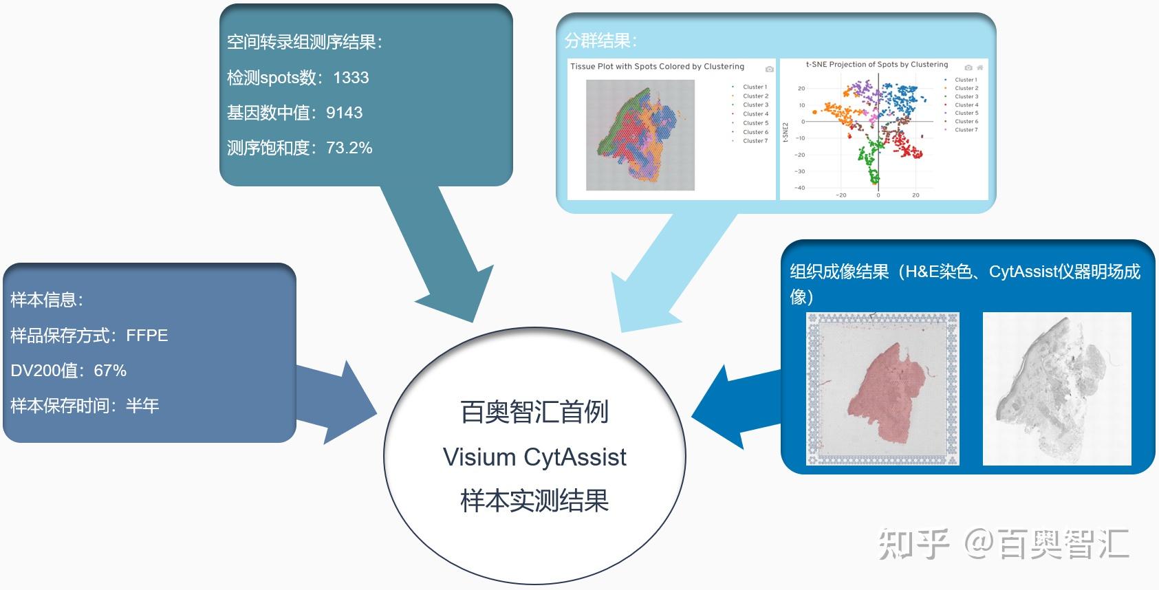 Visium CytAssist实测数据惊艳亮相 | 一个FFPE样本的旅行vlog - 知乎