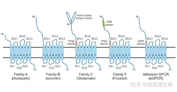 膜蛋白SPR实验：GPCR与化合物互作分析 - 知乎