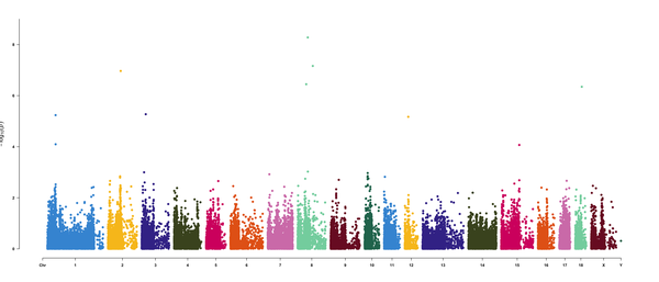 🤣 CMplot | 完美复刻Nature上的曼哈顿图（一） - 知乎