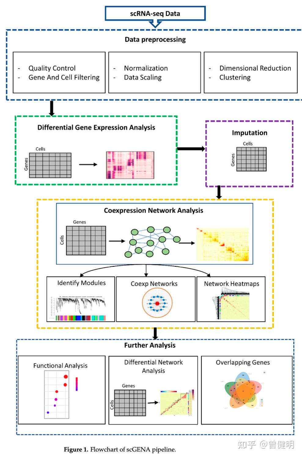 单细胞水平的基因共表达网络网络分析之scGENA - 知乎