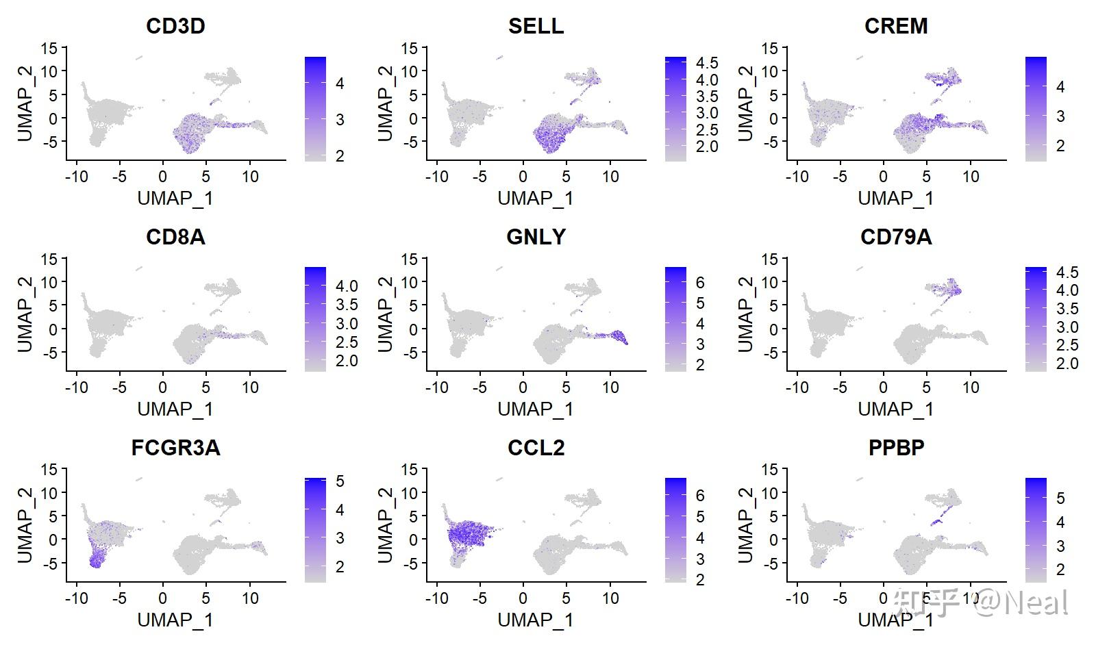 单细胞测序分析：Seurat实操 案例3__多样本联合分析 - 知乎
