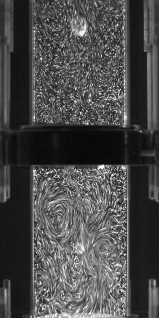 实验流场评估——数字粒子图像测速仪(DPIV)ViVitro实验室心血管测试 - 知乎