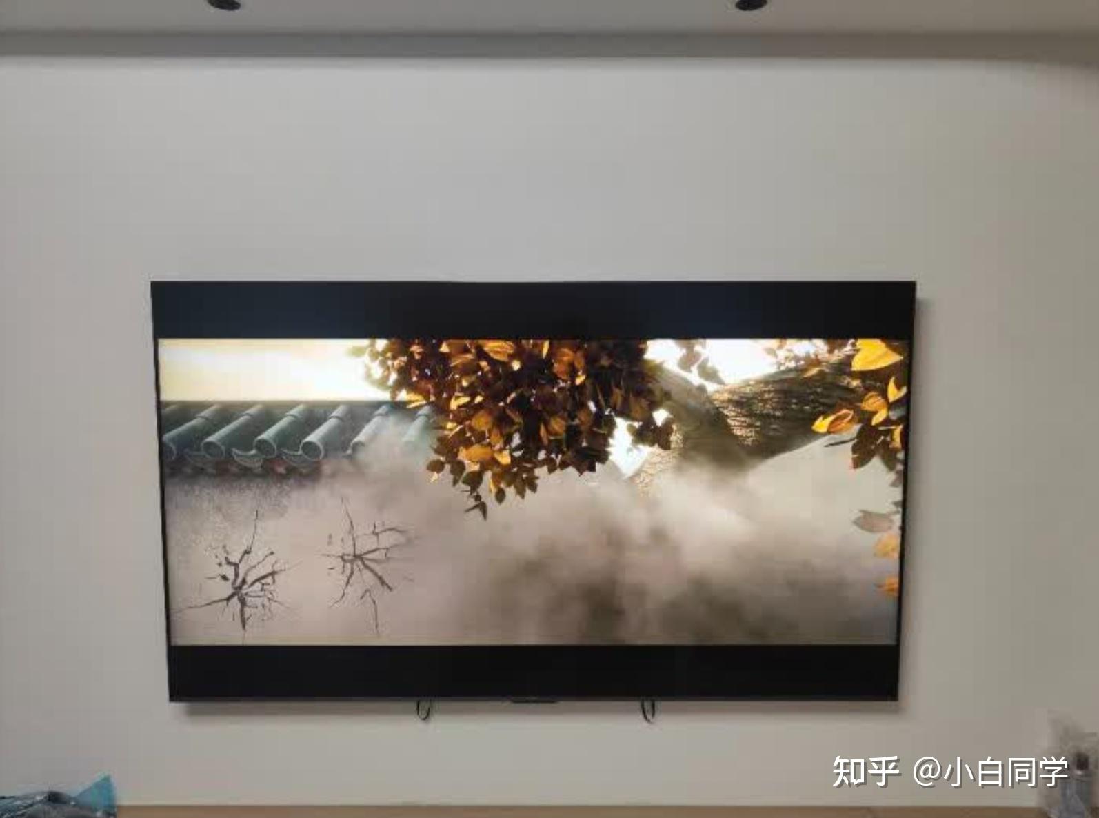 tclq9lpro和tclq10lpro都有哪些亮点和槽点？哪个更值得入手？