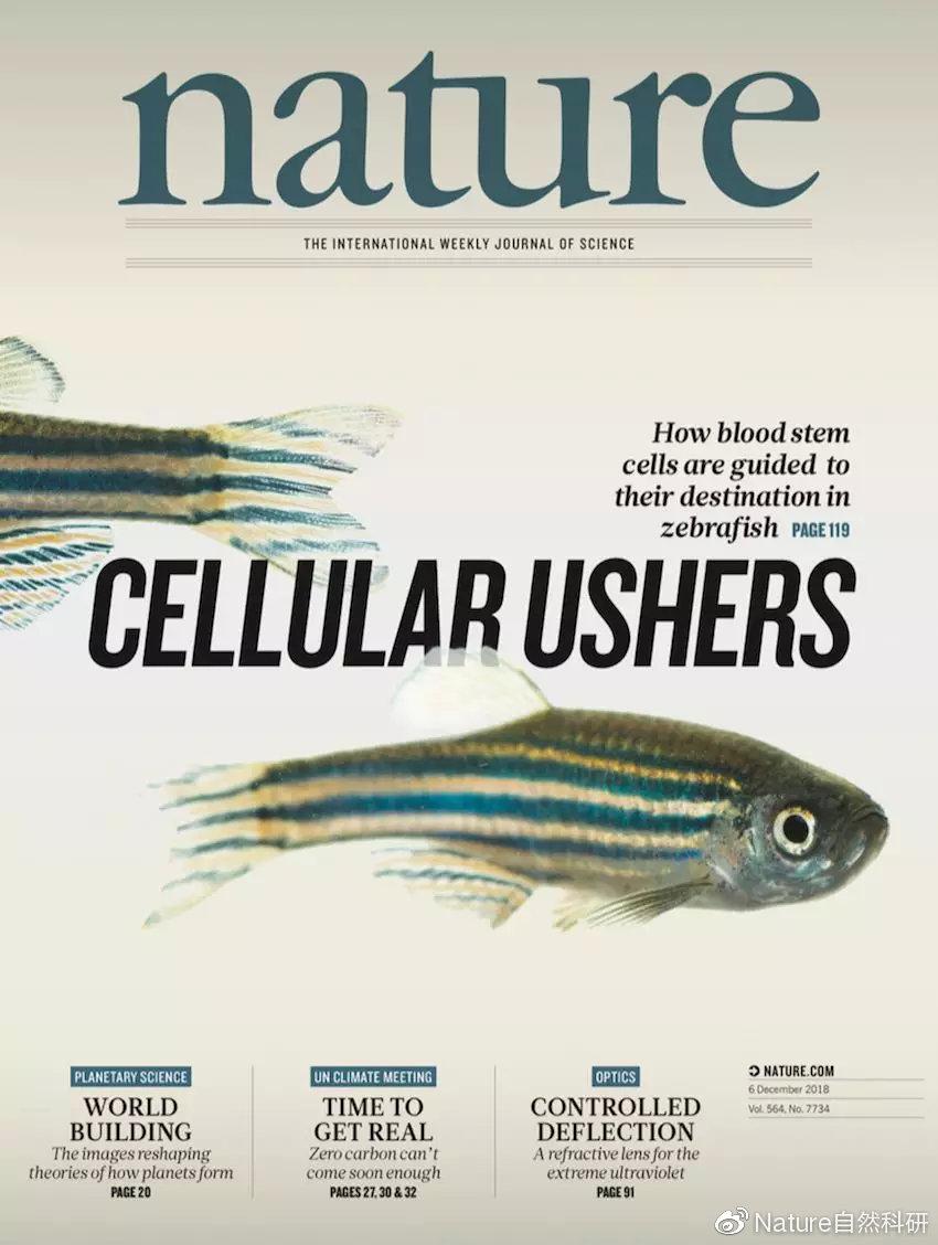 这些登上Nature封面的中国研究成果，你还记得吗？ - 知乎