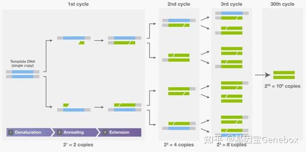 SNP检测怎么选？一文理清SNP基因分型常用技术手段 - 知乎