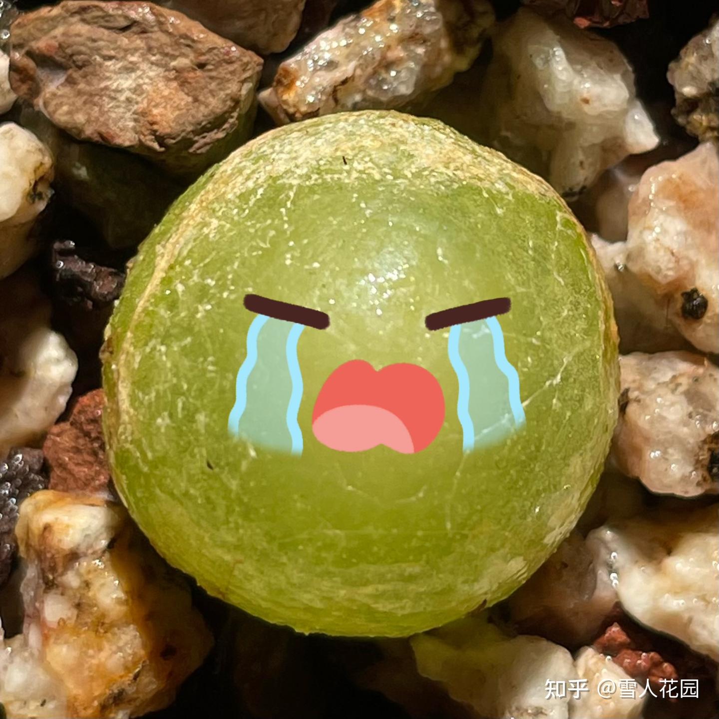 雪花祝福 - 知乎