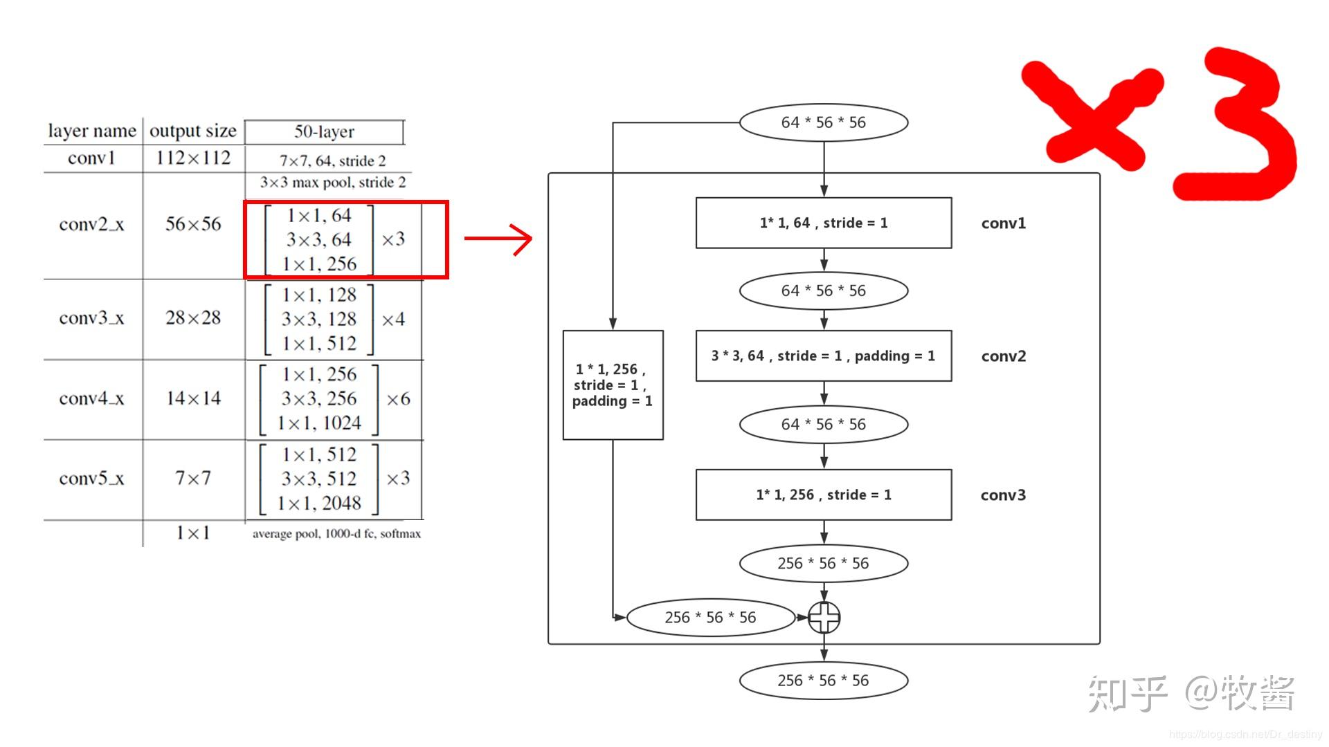 ResNet网络结构分析 - 知乎