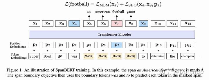 SpanBert的预训练记录（pytorch版本） - 知乎