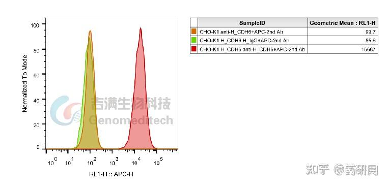 全球仅两款的CDH6 ADC同时在华申报临床 - 知乎
