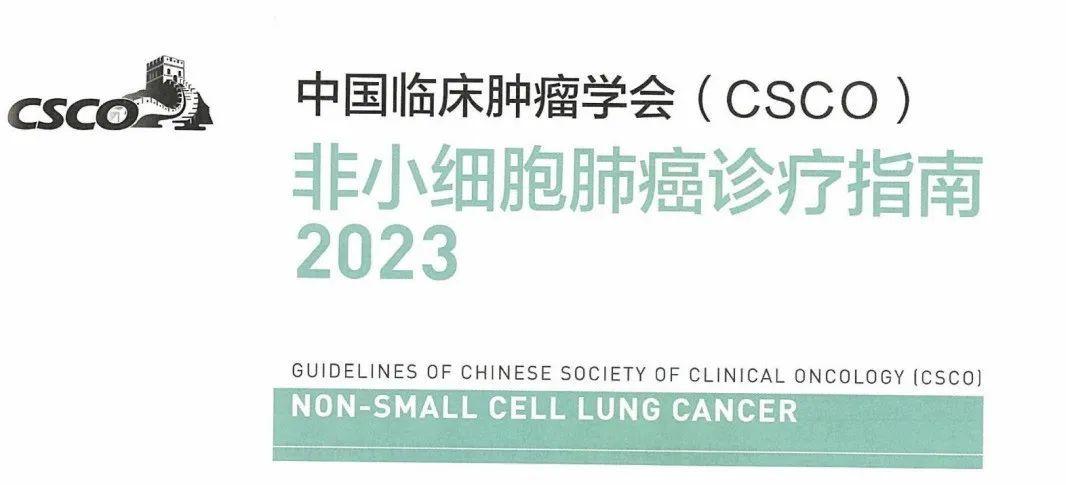 2023CSCO非小细胞肺癌指南更新解读汇总！（附下载） - 知乎
