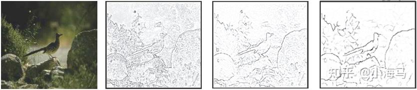 CVPR 2022，边缘检测 EDTER: Edge Detection with Transformer - 知乎