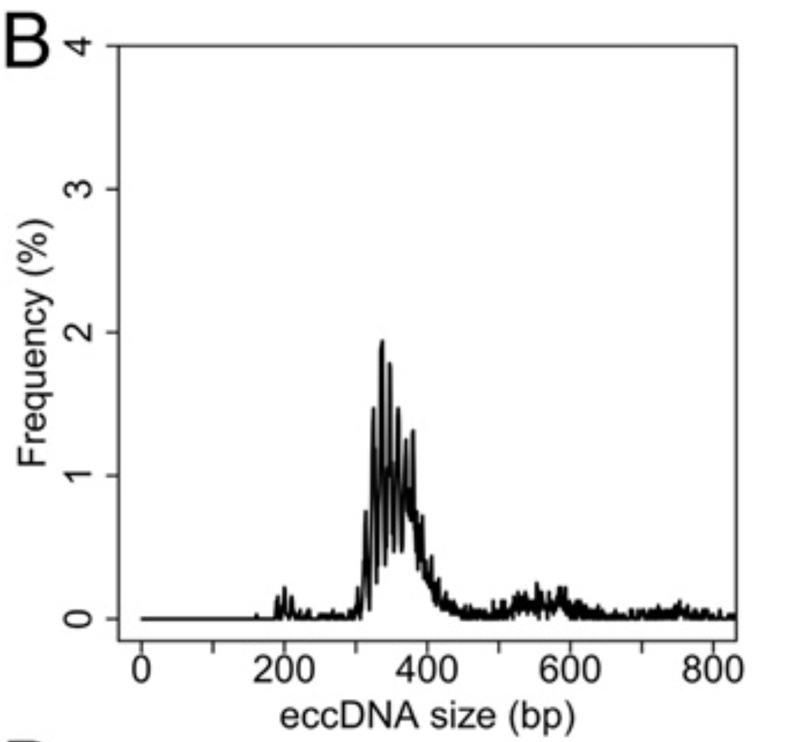 先收藏：2022年 eccDNA 研究现况汇总 - 知乎