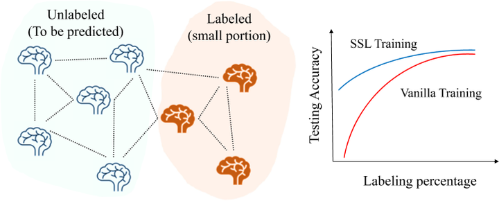 Graph CCA for Temporal SElf-supervised Learning for Label-efficient fMRI Analysis(GATE)(上) - 知乎