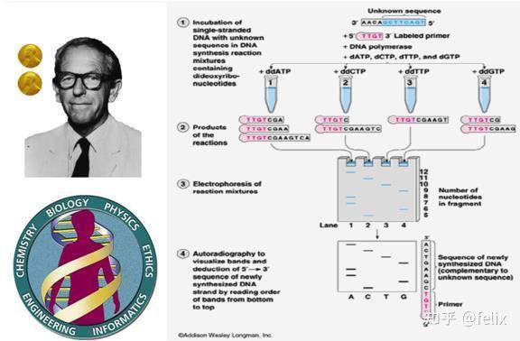 从RSA到DNA计算：伦纳德·阿德曼的科学传奇 - 知乎