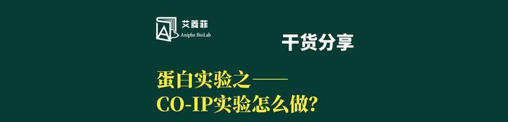 干货知识：蛋白实验之——CO-IP实验怎么做？这些注意事项你值得拥有！ - 知乎