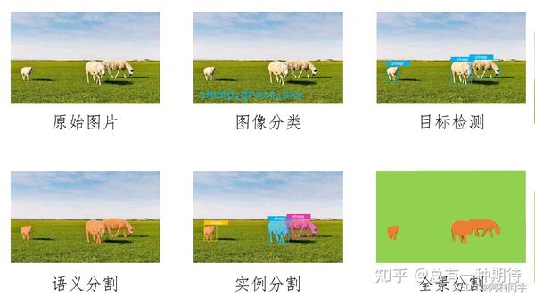 手把手图像分类教程-搭建卷积神经网络 - 知乎