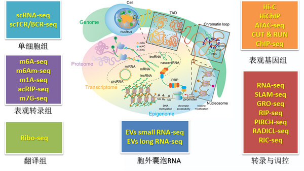 喜讯！表观生物获中科院Nature级RIC-seq技术成果转化授权 - 知乎