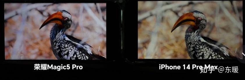 荣耀Magic5Pro信号实测，竟暴露iPhone“假5G”，对比太明显 - 知乎
