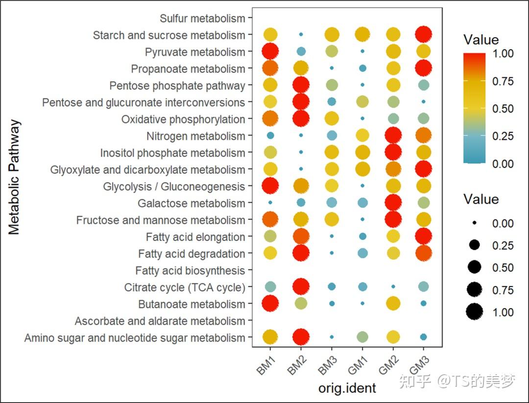 scMetabolism：一个简单的单细胞代谢分析R包 - 知乎