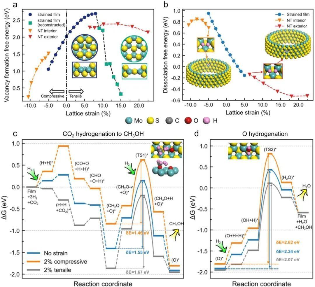 Nat. Commun.: 具有原子铜和硫空位应变少层MoS2助力加氢制甲醇 - 知乎