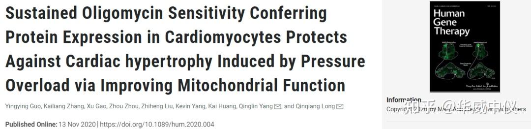 2022年OROBOROS O2k能量代谢相关文章锦集 - 知乎