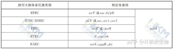 GB4789-6-2016 致泻大肠埃希氏菌检验及注意事项 - 知乎