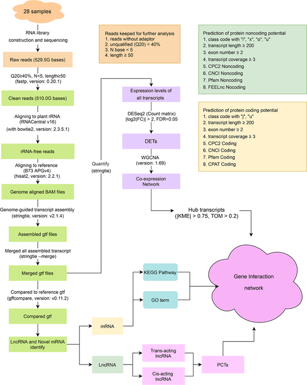 lncRNA鉴定方法整理 - 知乎