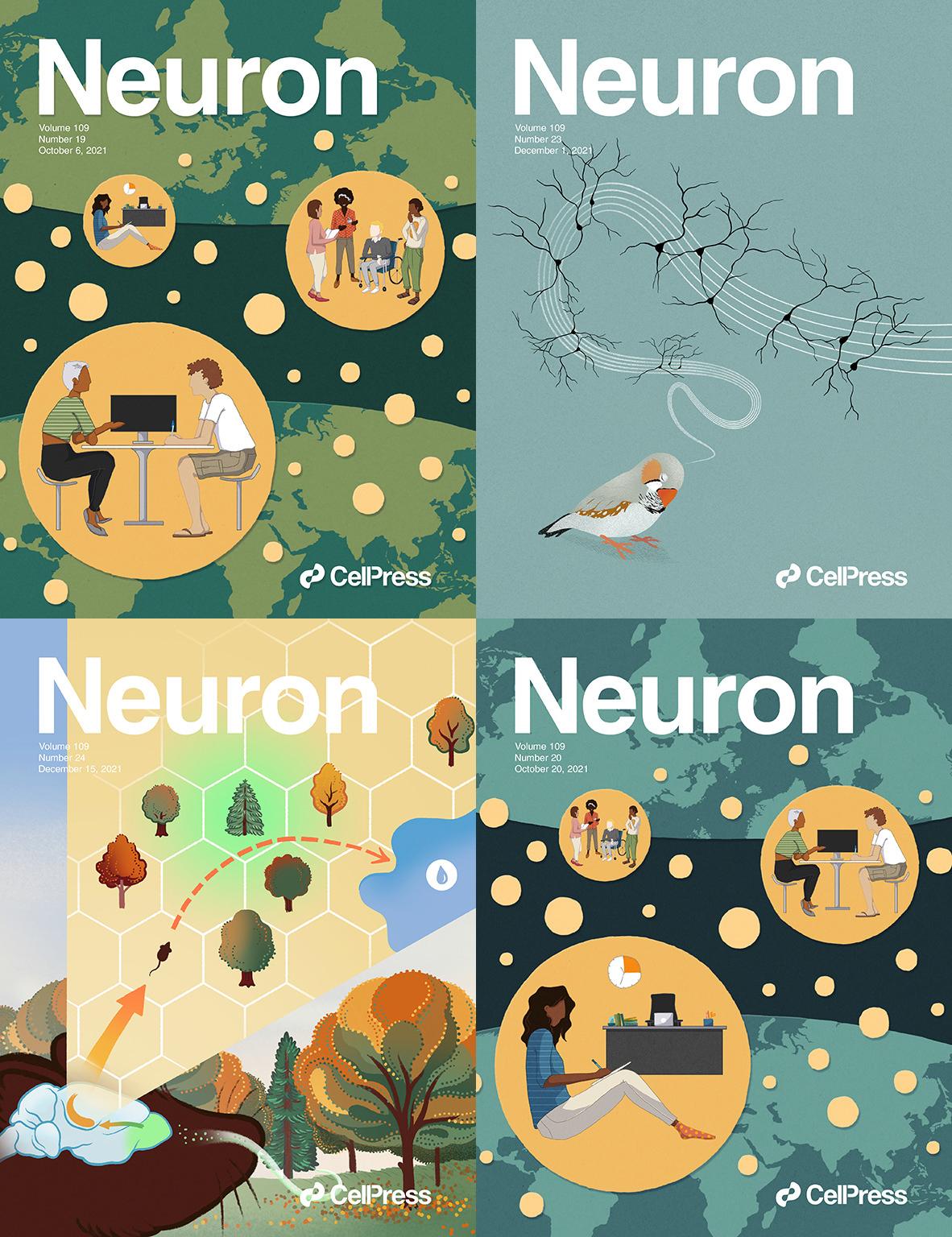 72张《Neuron》精美封面鉴赏丨2019~2021年半篇 - 知乎