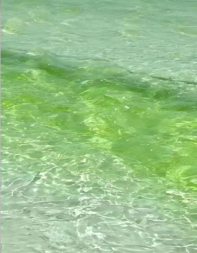 你好deep seek 我想全面了解自己 - 知乎