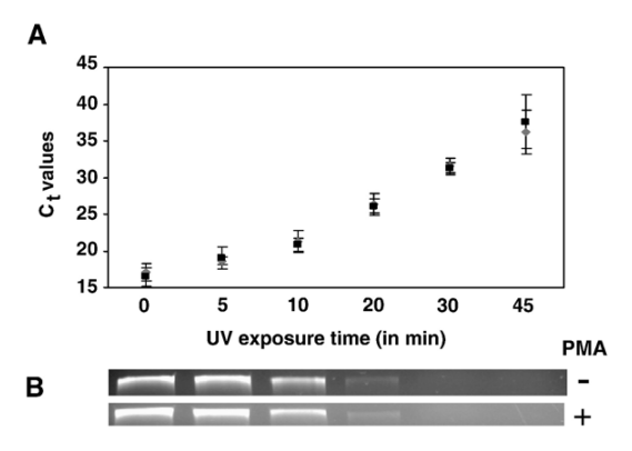 PMA的应用 - 知乎