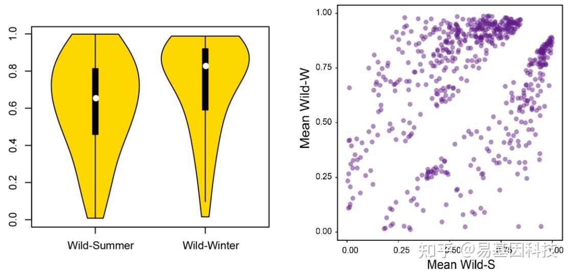 易基因： DNA甲基化差异水平分析中的DMC、DMR、DMG鉴定 | 干货分享 - 知乎