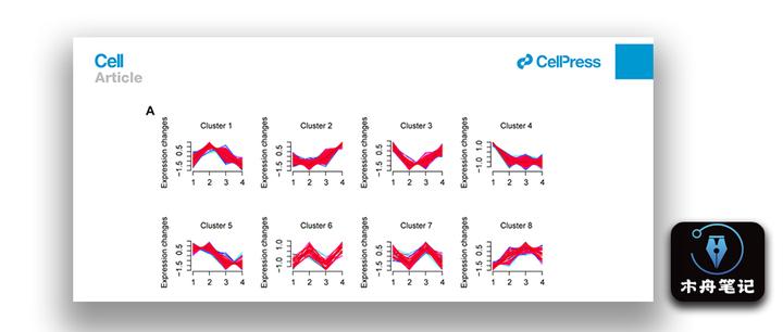 跟着 Cell 学作图 | 6.时间序列分析(Mfuzz包) - 知乎