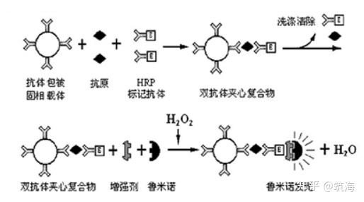 总结一下IVD行业的检测平台（一）——ELISA、化学发光 - 知乎
