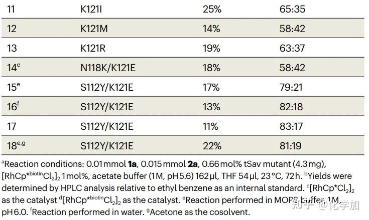 Nat. Synth.：Rh(III)人工金属酶催化，实现异吲哚酮的对映发散合成 - 知乎