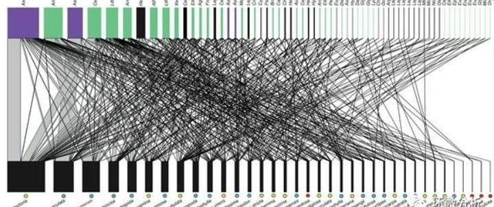 QIIME2进阶四_QIIME2扩增子基因序列系统发育分析 - 知乎