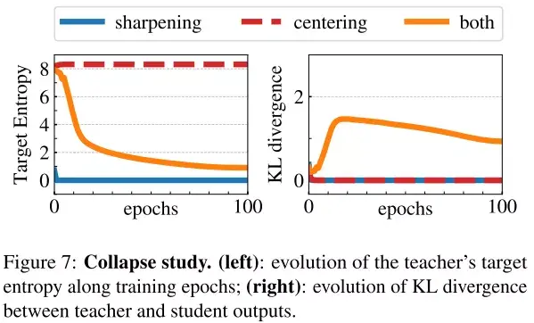 DINO：Self-Supervised Vision Transformer的新特性 - 知乎