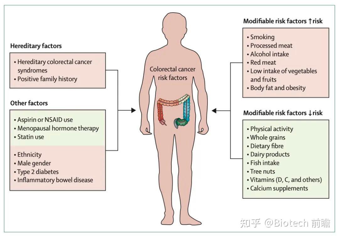 结直肠癌的流行病学、治疗现状及免疫治疗突破 - 知乎