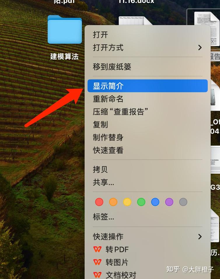 endnote在插入文献时出现“This command is not available because a document window ...