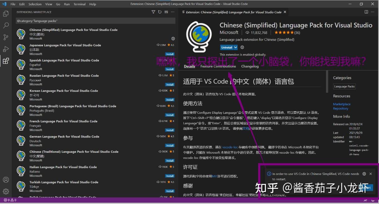 VSCode安装与汉化（超详细） - 知乎